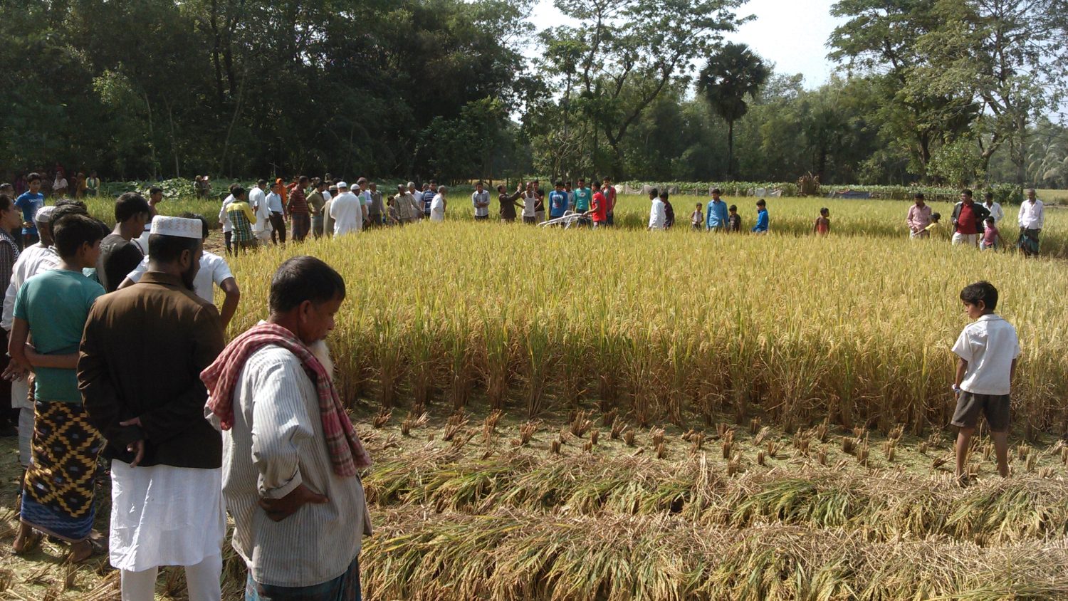 Training Program - Rural Development Foundation